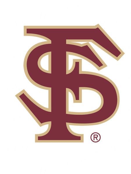 Florida State University FSU Edible Icing Sheet Cake Decor Topper - FS ...