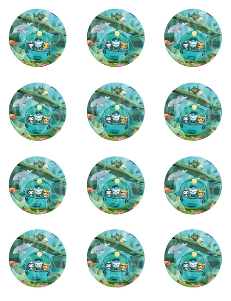 The Octonauts Edible Icing Sheet Cake Decor Topper – Bling Your Cake